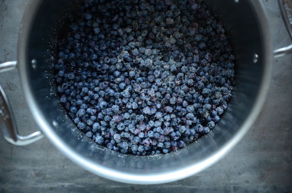 Wild Blueberry Jam with Berries from Maine – Food in Jars