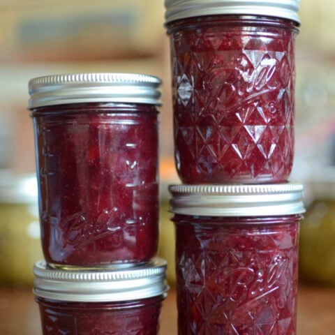 Small Batch Cherry Plum Jam – Food in Jars