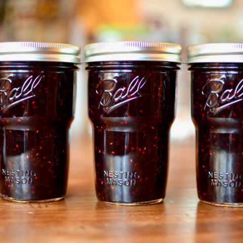 Berry Jam with the Makers of Ball® Home Canning Products – Food in Jars