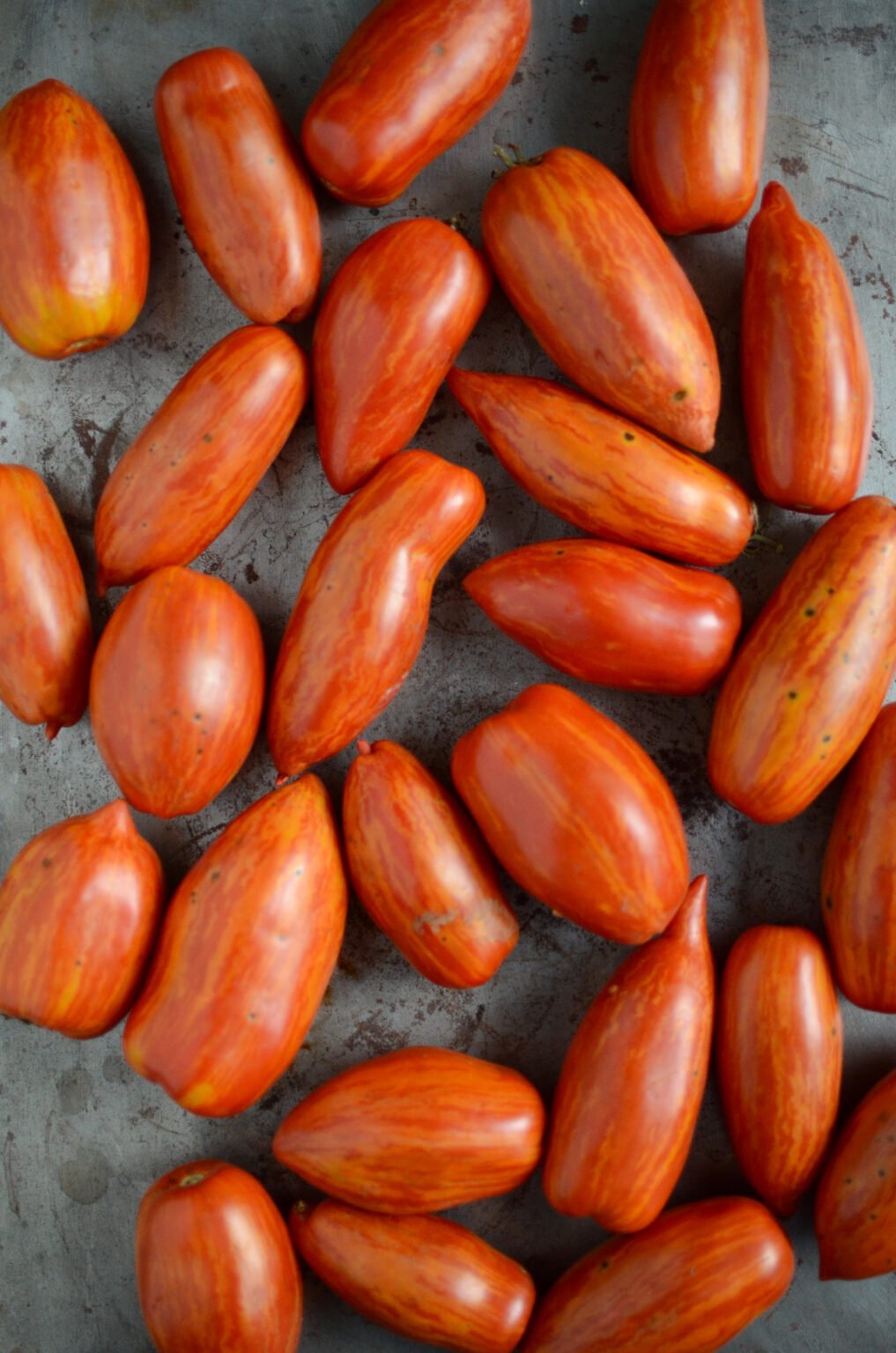 Zesty Salsa – Food in Jars